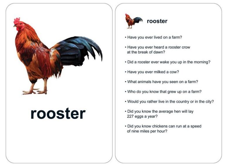 Conversation Cards – Three-Deck Set – Reminiscence Activity for ...